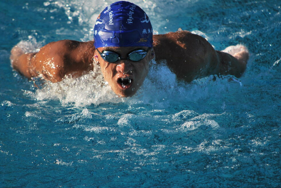 Levels - Flying Fish Swim School