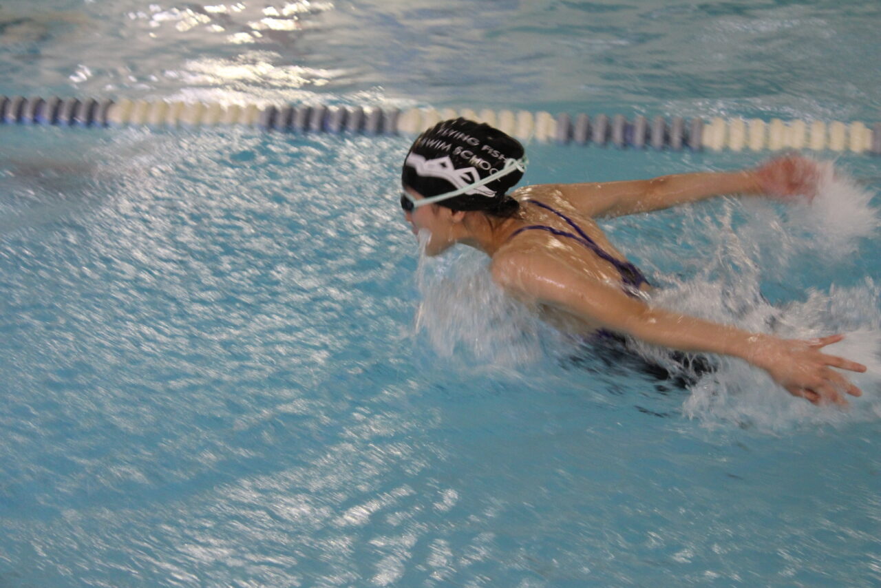 Levels - Flying Fish Swim School